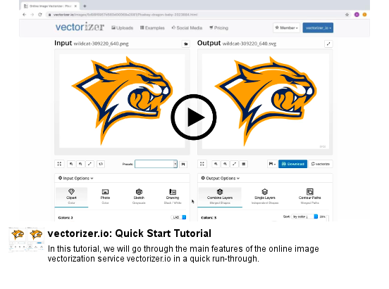 Devastar Cocinando En Convert Image To Vector Leyendo Calcular D a